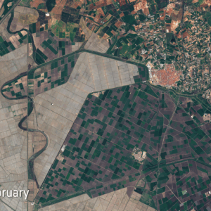 Ez-Frisk Software 2021