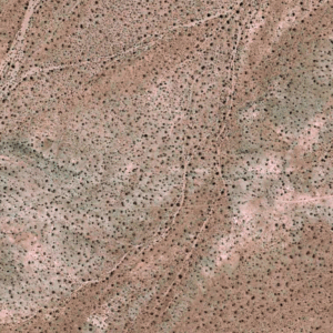 Spectral Matching Algorithm 2021