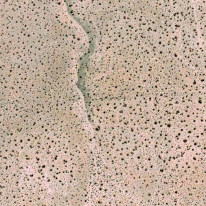 Spectral Matching Algorithm 2021